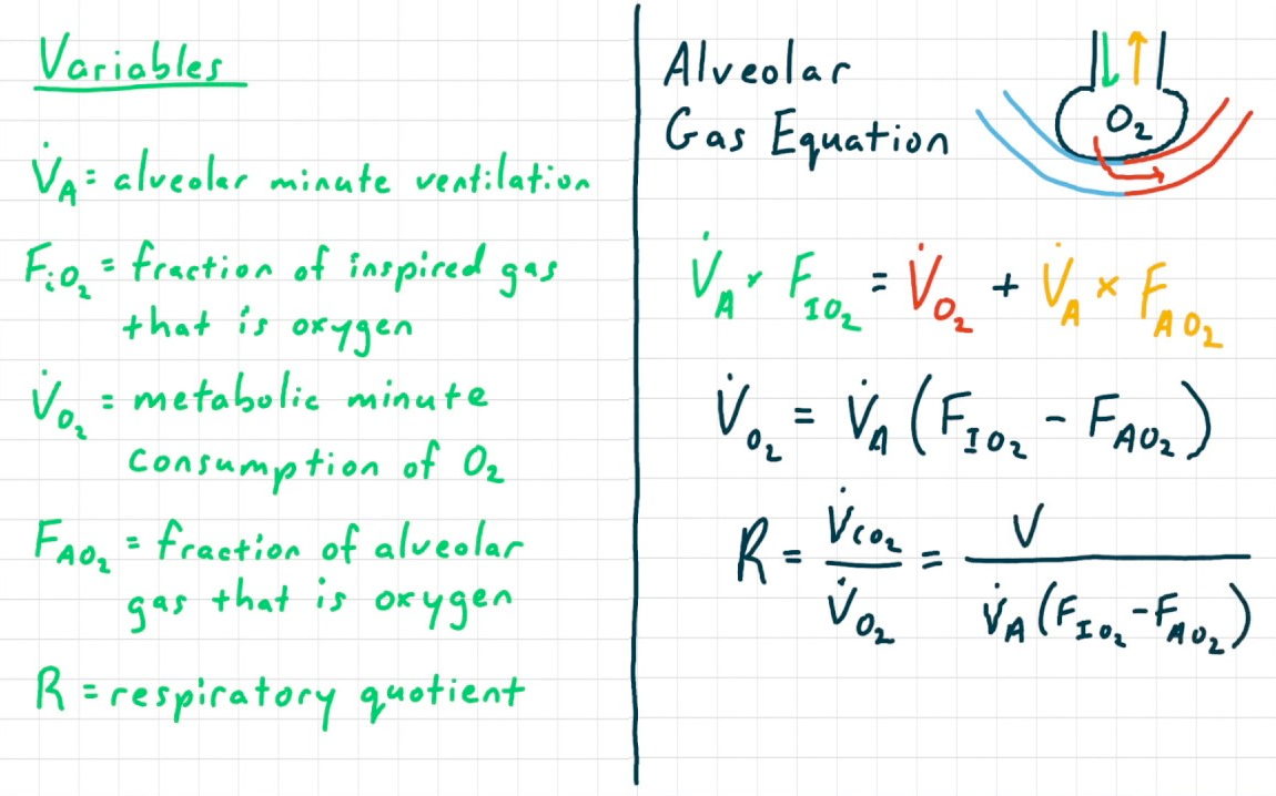 Ventilator and Pulmonary Mechanics Chalk Talk Series – VQ School